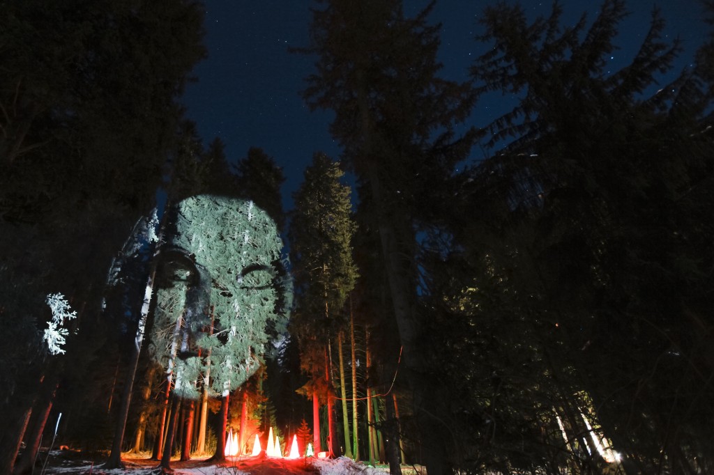 Lenzerheidner Zauberwald erstrahlt auch 2014 | Eilte der Skigebiete